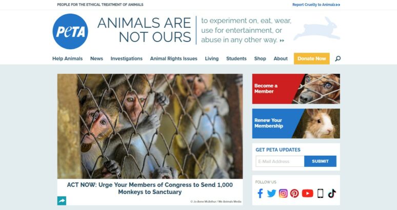 Why a Brand Strategy is Important for Non-Profits